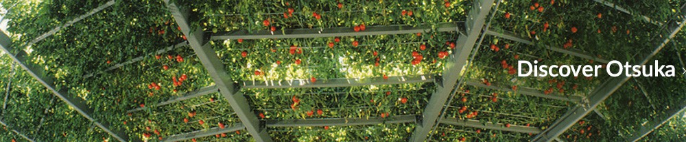 Otsuka Pharmaceutical Co., Ltd.