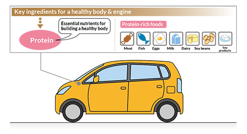 The role of nutrients and nutrient consumption | Otsuka Pharmaceutical ...